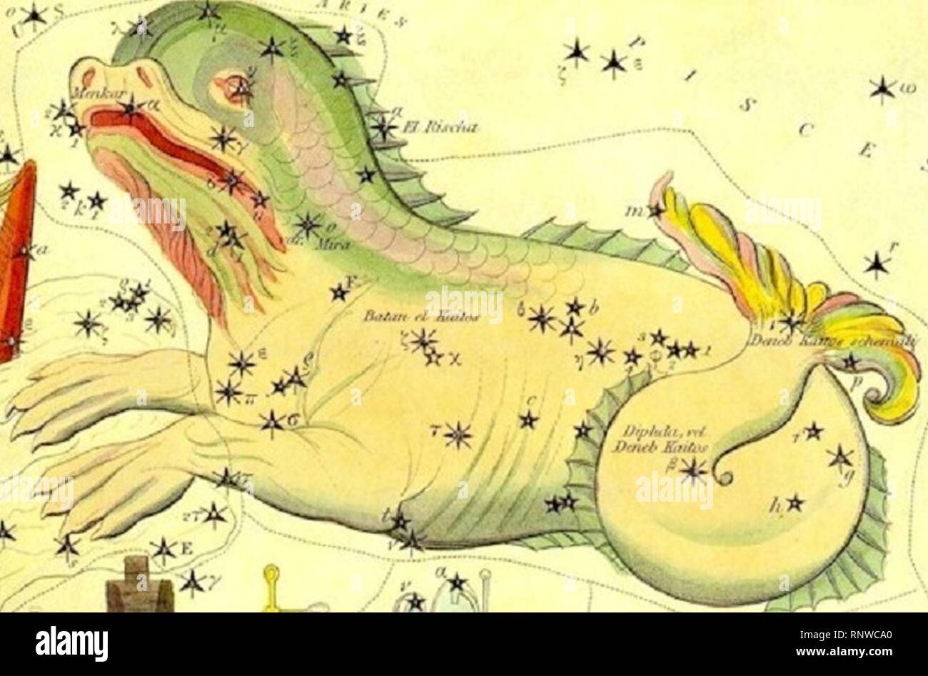 Cetus or Sea Monster Stock Photo - Alamy