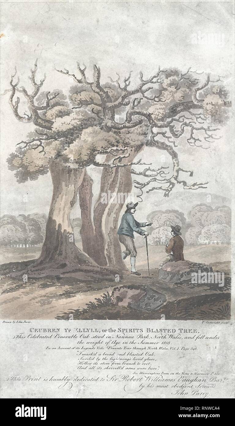 Ceubren Yr Ellyll, or the Spirits Blasted Tree Stock Photo - Alamy