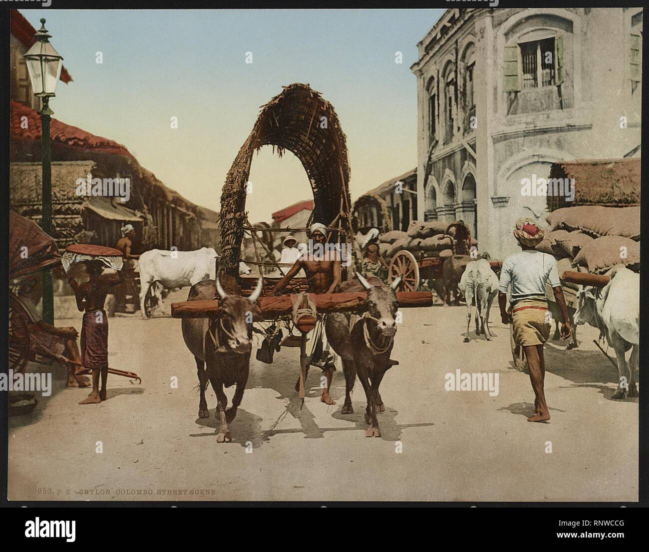 Ceylon colombo hi-res stock photography and images - Alamy