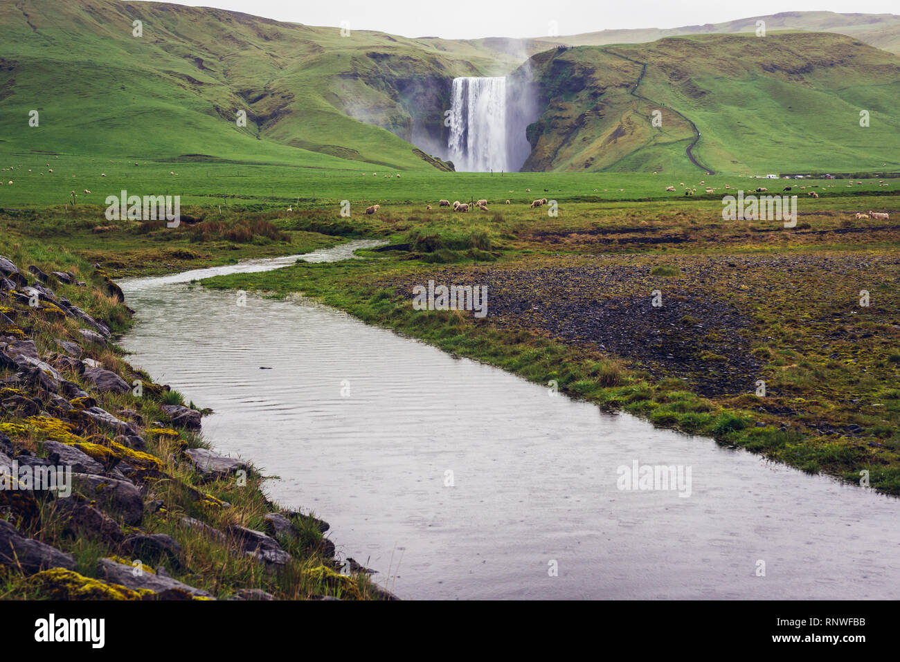 Skogafoss waterfall on the Skoga River in Iceland Stock Photo - Alamy