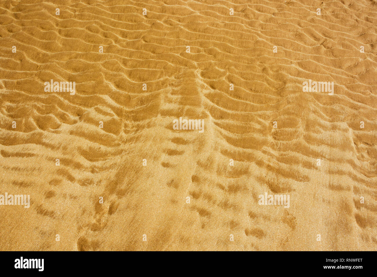sand beach textured background Stock Photo - Alamy