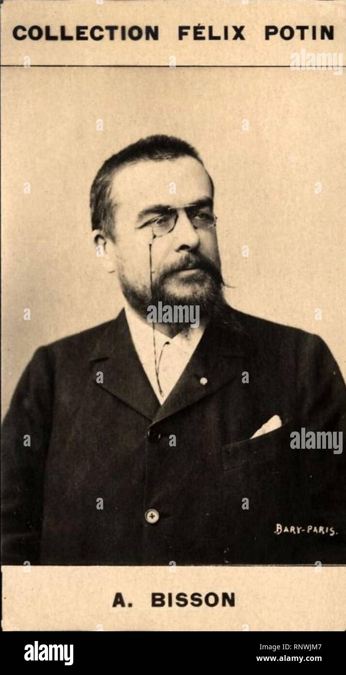 A bisson hi-res stock photography and images - Alamy