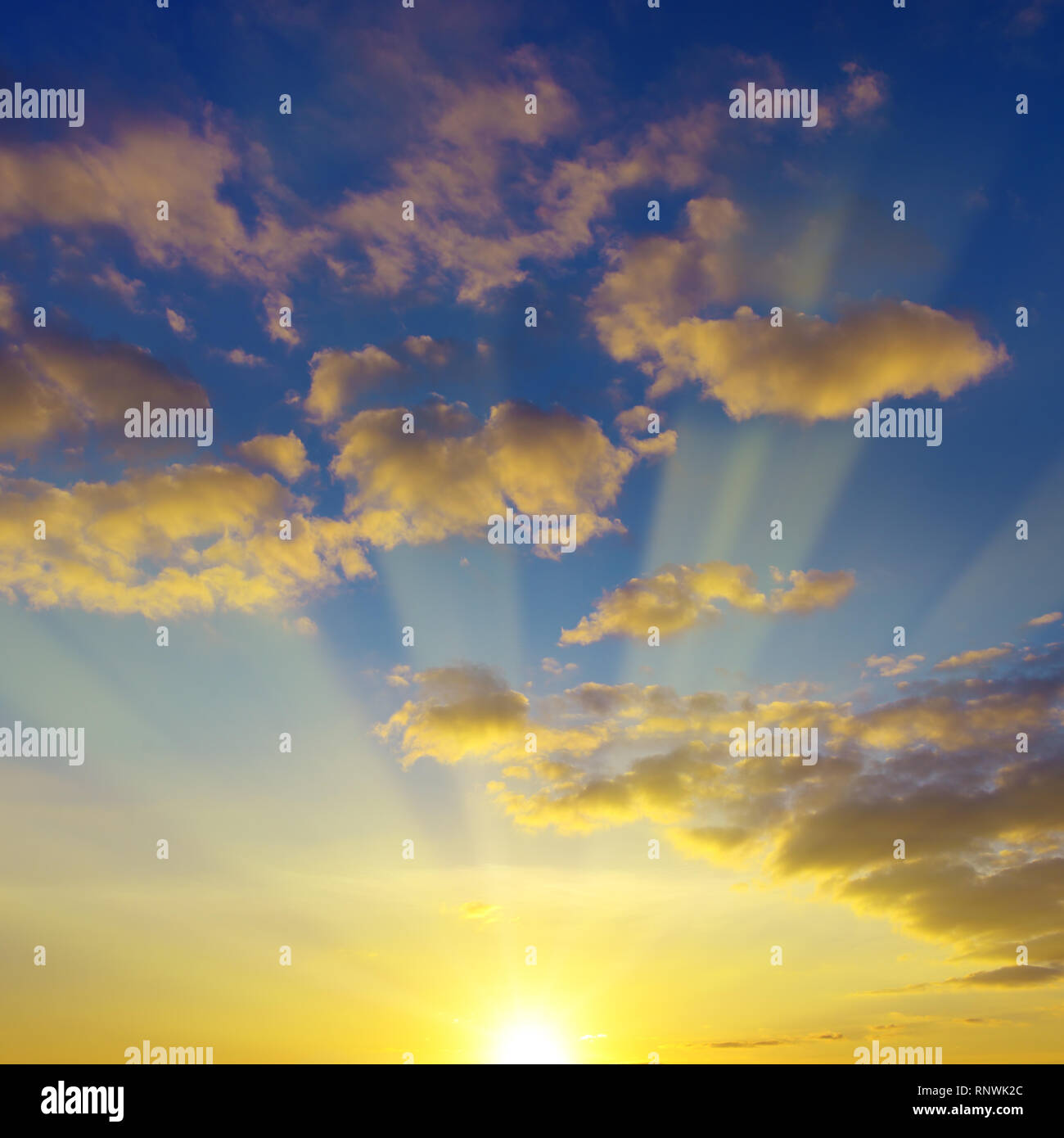 Sunshine sunny sunlight bright light hi-res stock photography and ...