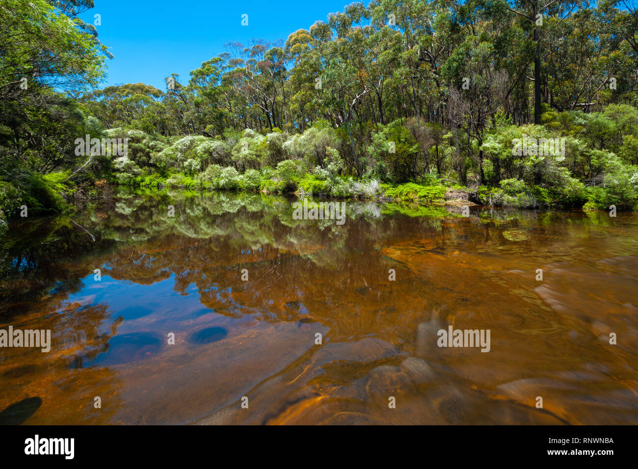 Kangaroo river hi-res stock photography and images - Alamy