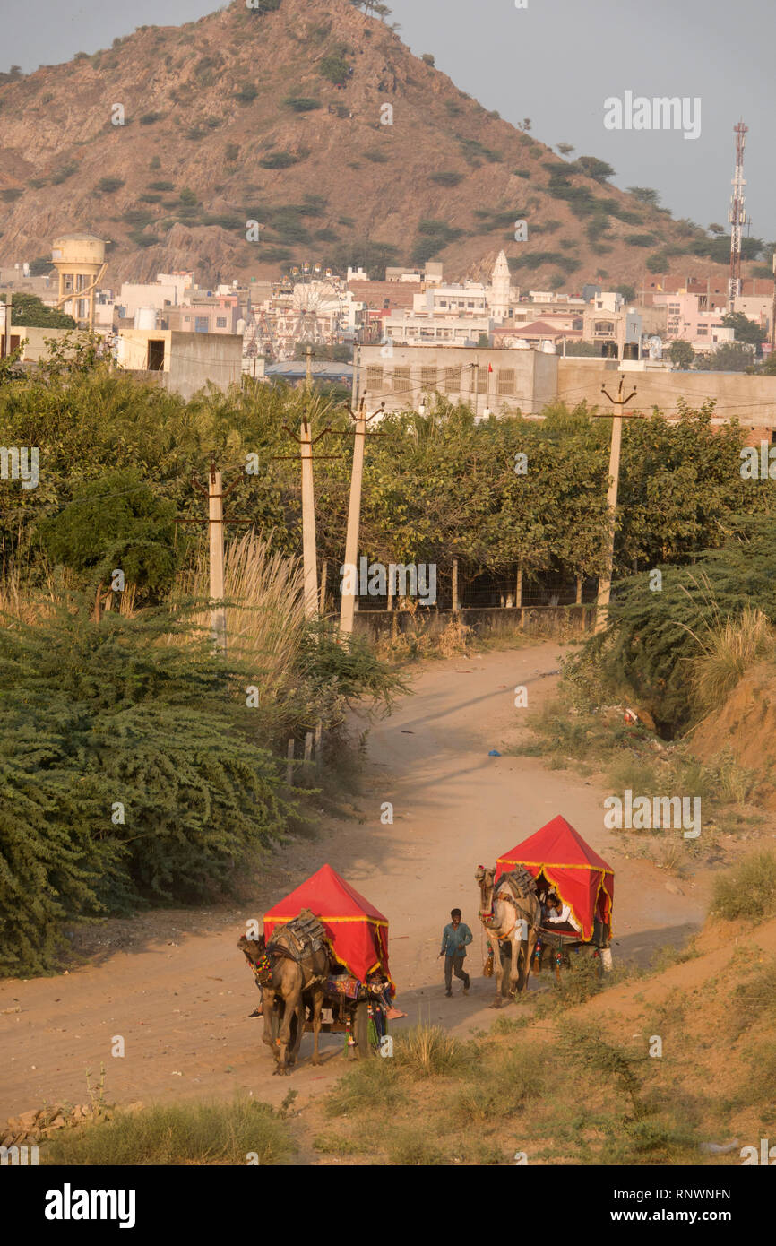Camel carts in the desert hi-res stock photography and images - Alamy