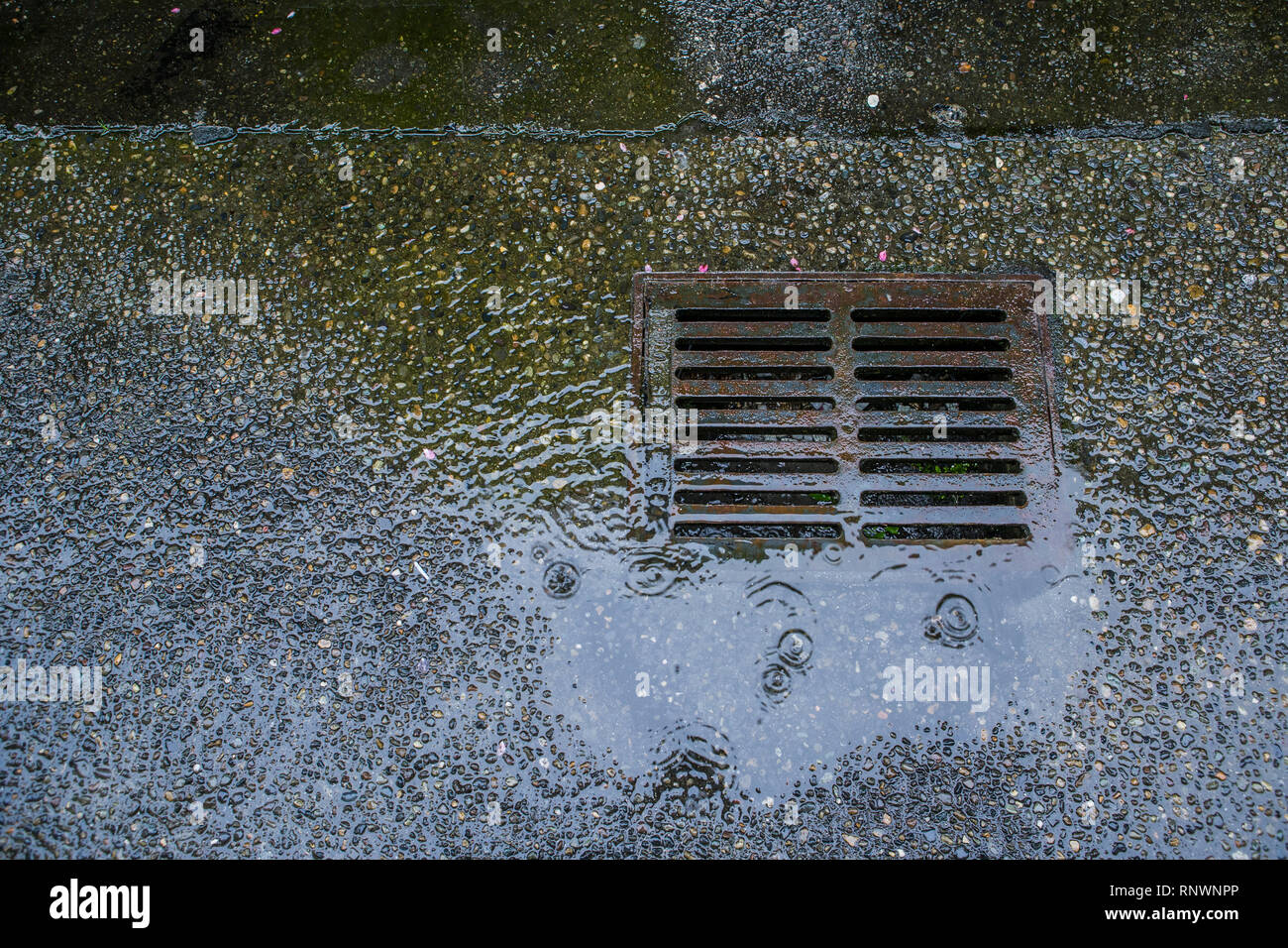 Stormwater drainage hi-res stock photography and images - Alamy