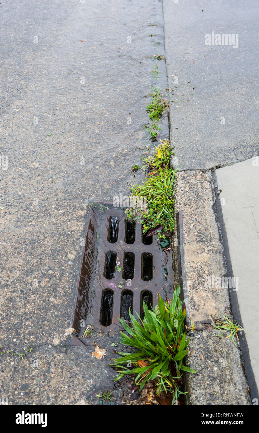 Stormwater drainage hi-res stock photography and images - Alamy