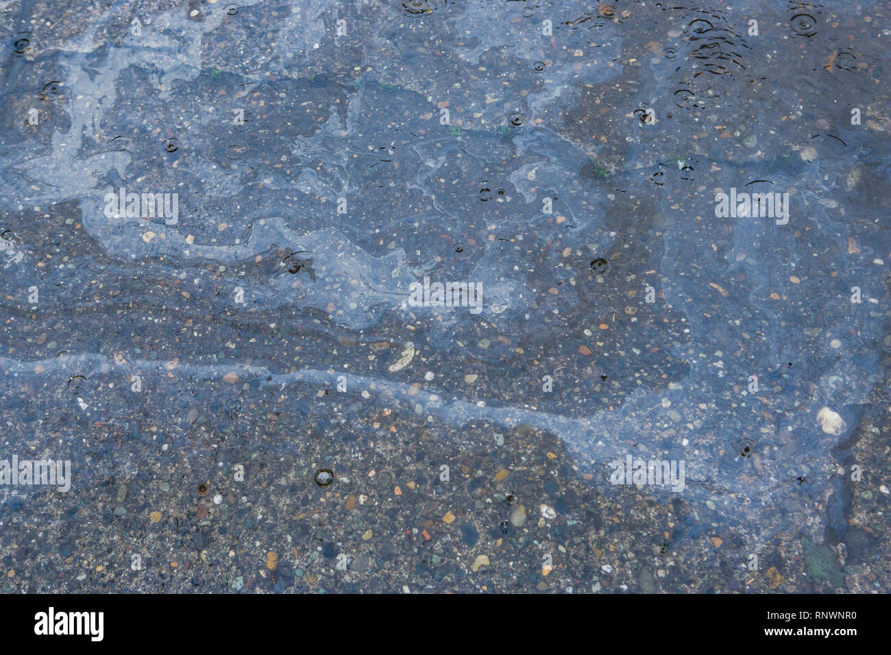 Oil floating on a puddle on a concrete street during a rain storm Stock ...