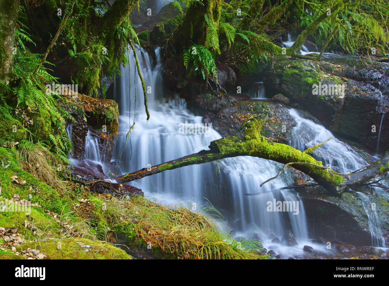 Hot spring flowing through valley Stock Photo - Alamy