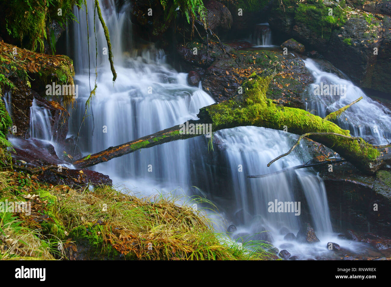 Hot spring flowing through valley Stock Photo - Alamy