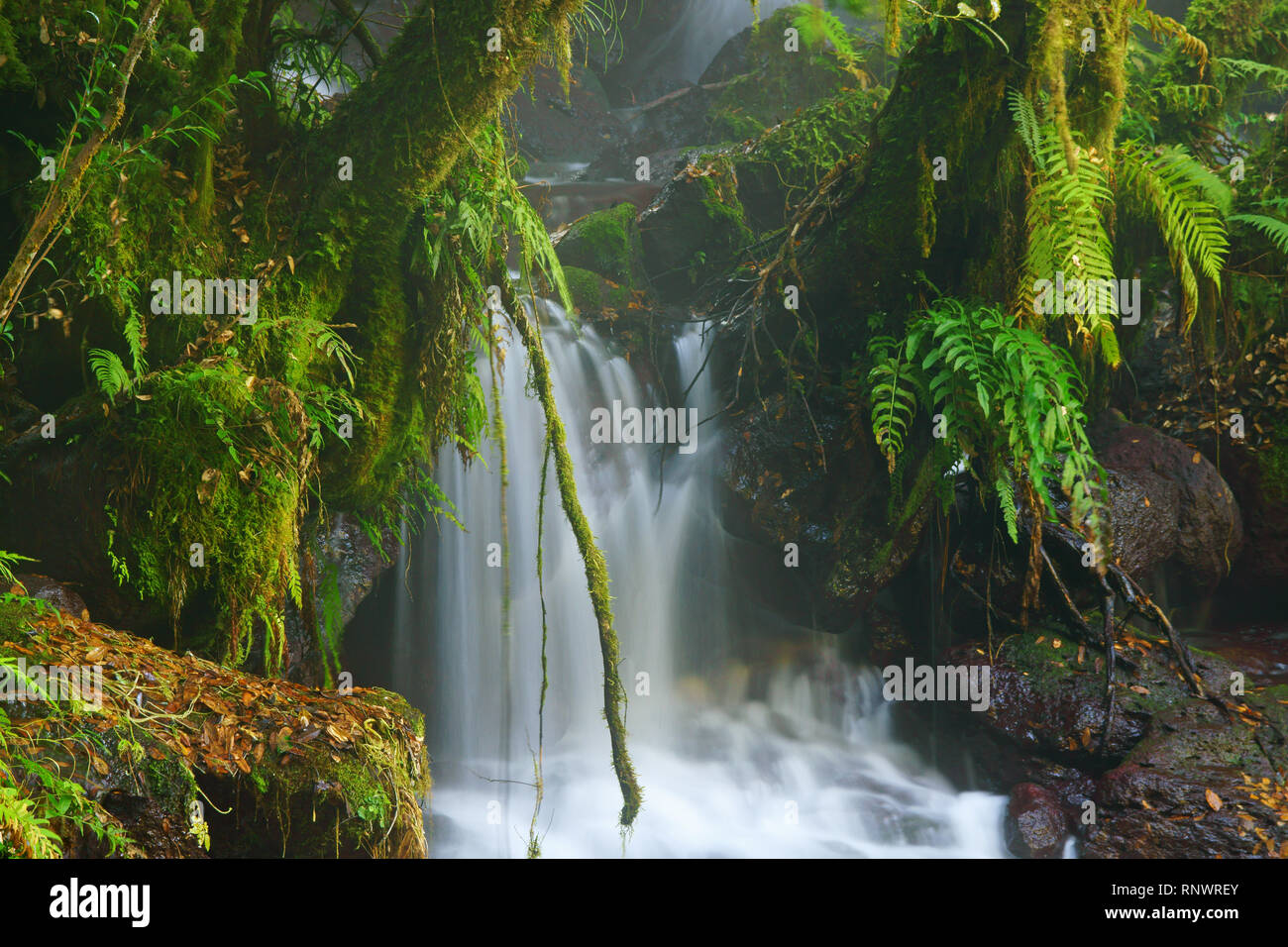 Hot spring flowing through valley Stock Photo - Alamy