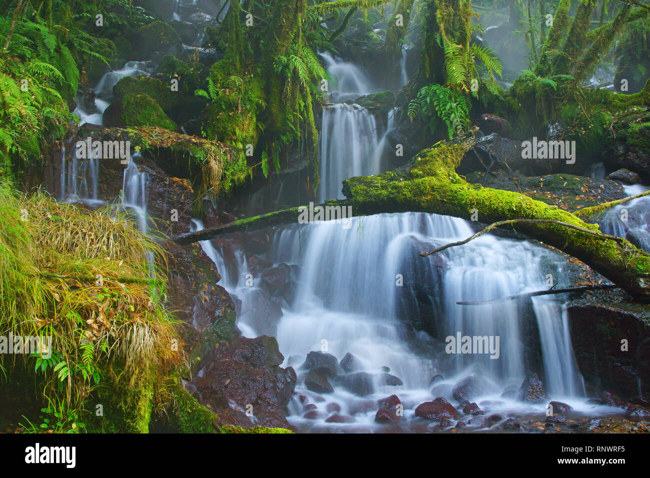 Hot spring flowing through valley Stock Photo - Alamy