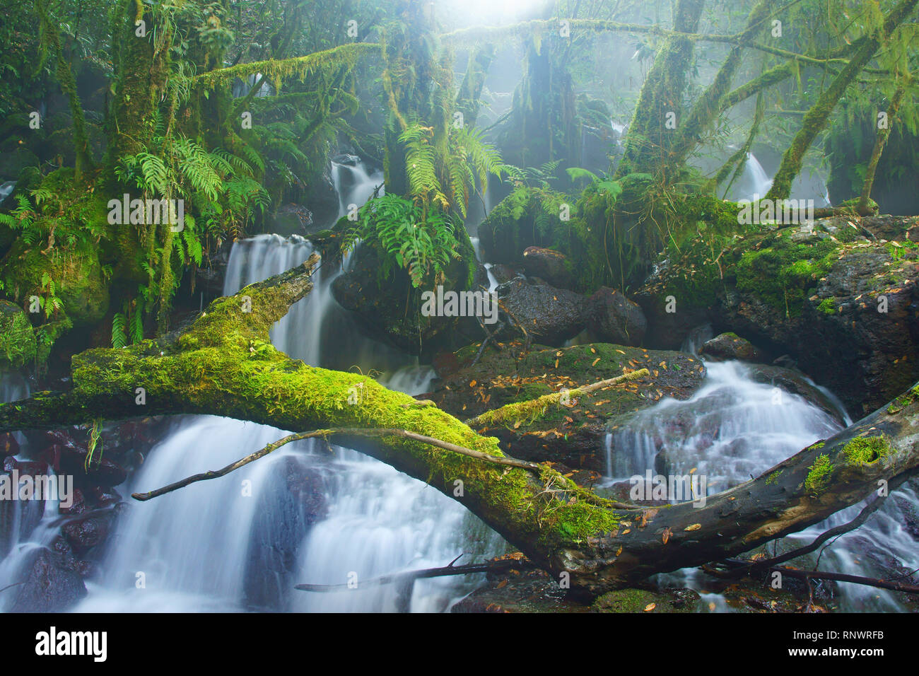 Hot spring flowing through valley Stock Photo - Alamy