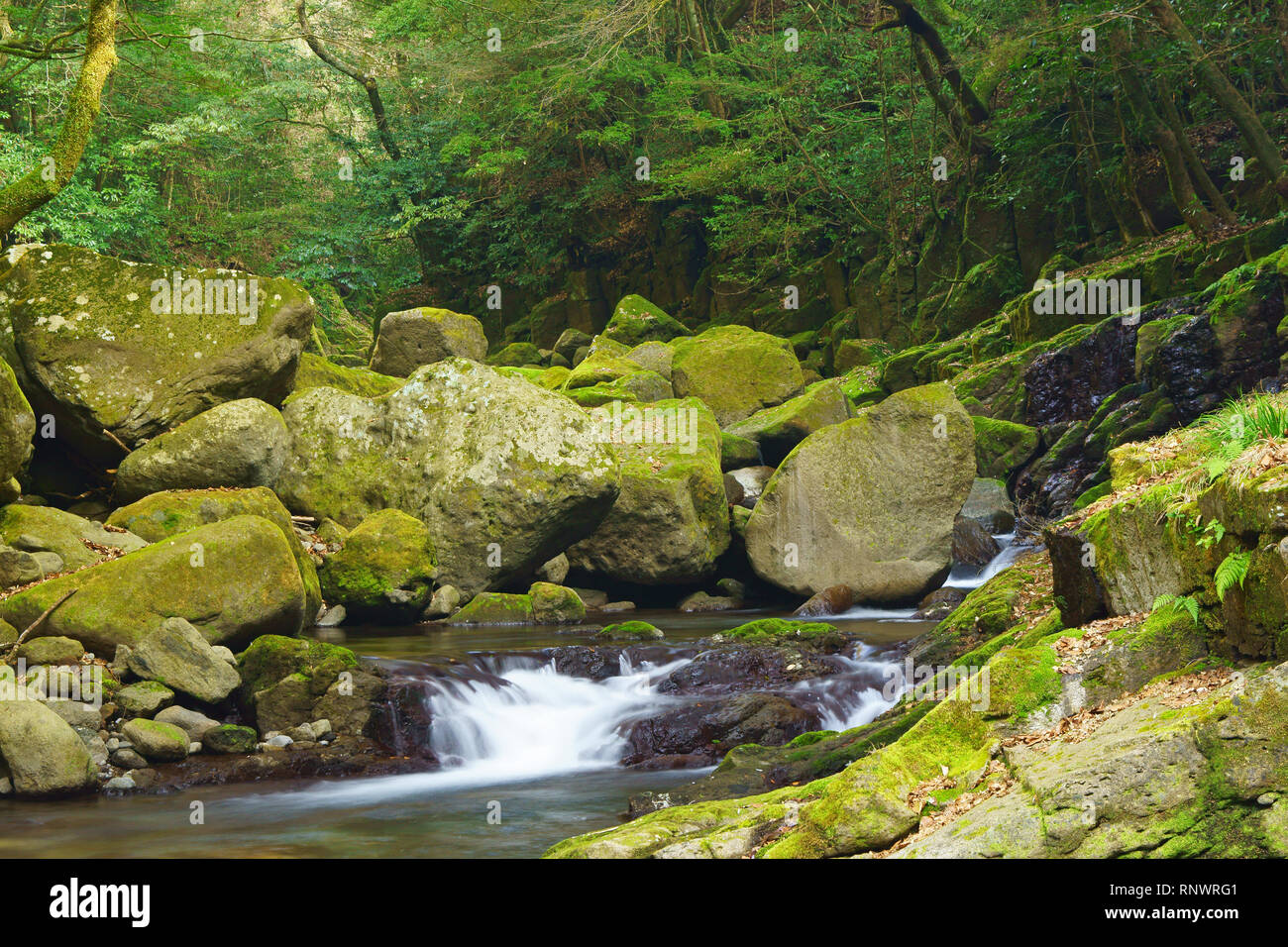 Kikuchi Gorge, Kumamoto Prefecture, Japan Stock Photo - Alamy