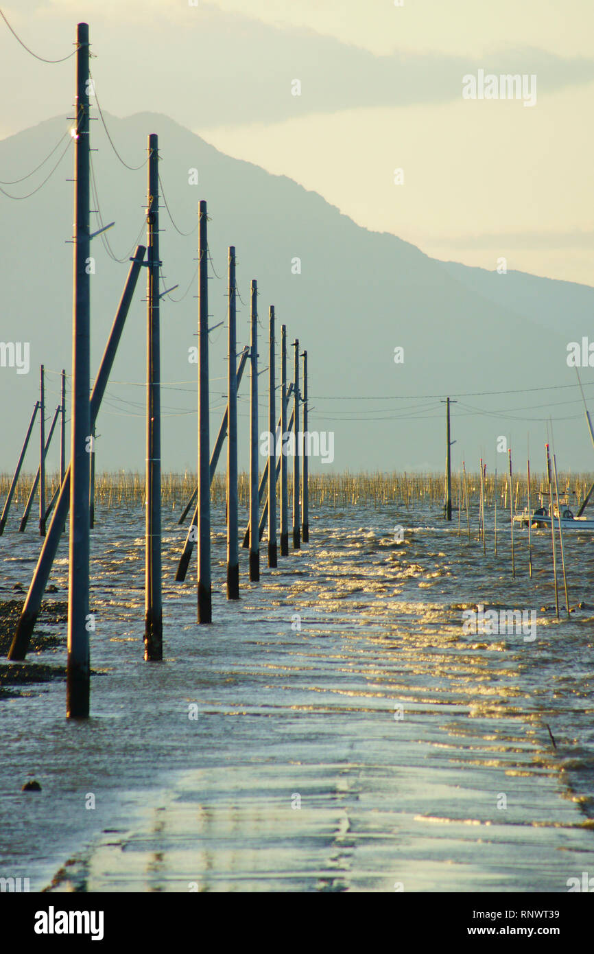 Nagabeta hi-res stock photography and images - Alamy