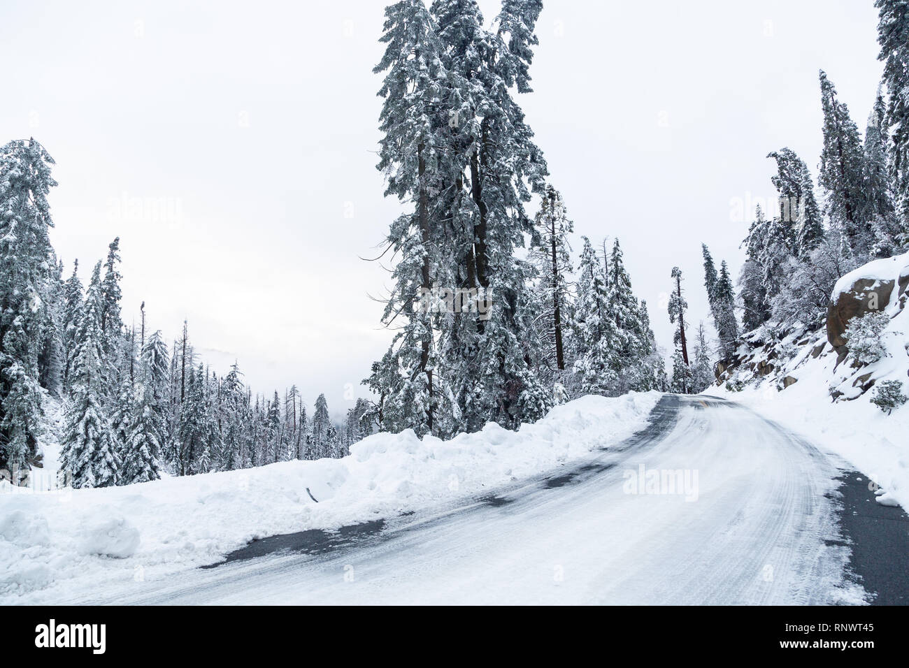 Snow and icy road conditions on SR 190 after a winter storm in Sequoia ...