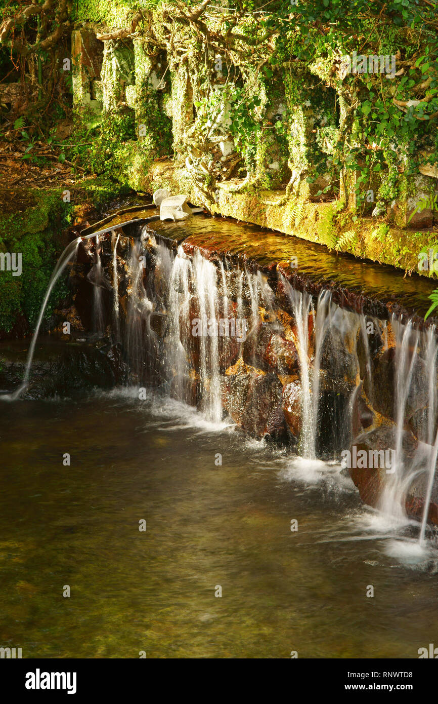 Todoroki hi-res stock photography and images - Alamy