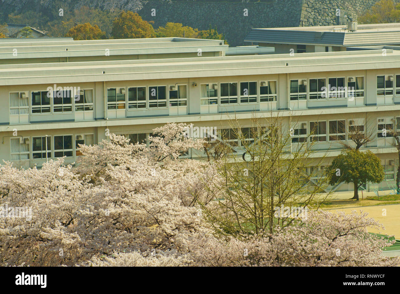 Junior high school graduation hi-res stock photography and images - Alamy
