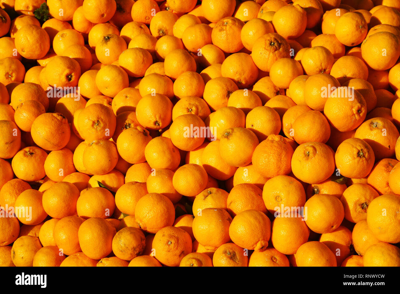 Dekopon (Citrus Fruit Stock Photo - Alamy