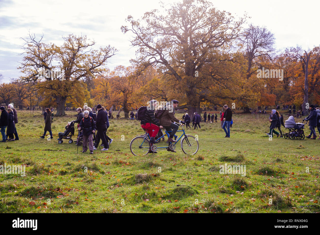 Two men on a tandem bicycle during the Fox Hunt (Hubertus Hunt), which ...
