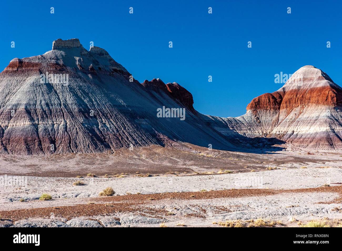 Formation in petrified forest hi-res stock photography and images - Alamy