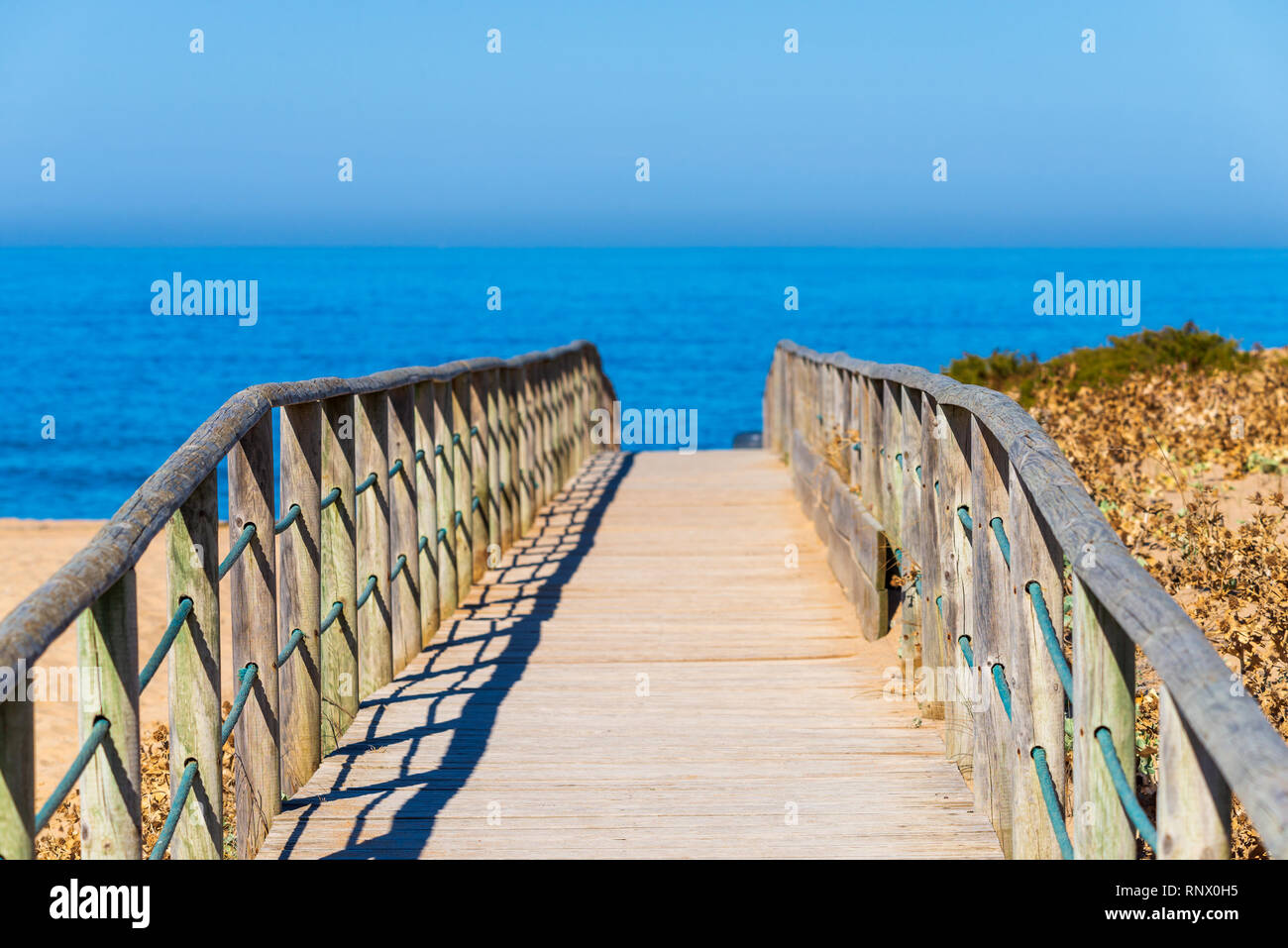 Wooden path on sand to sea. Vacation and rest on a beach concept Stock ...