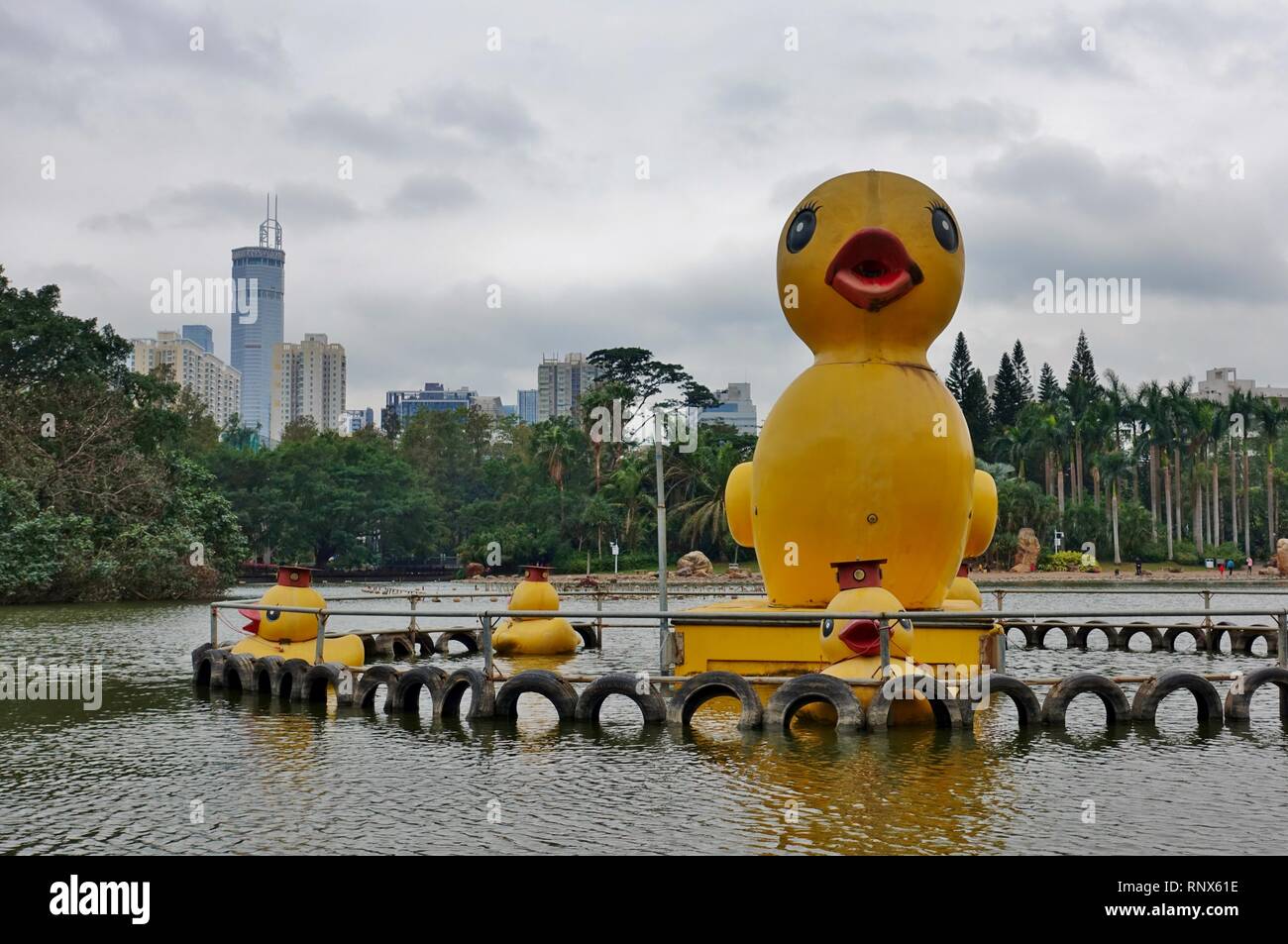 Giant yellow duck hi-res stock photography and images - Alamy