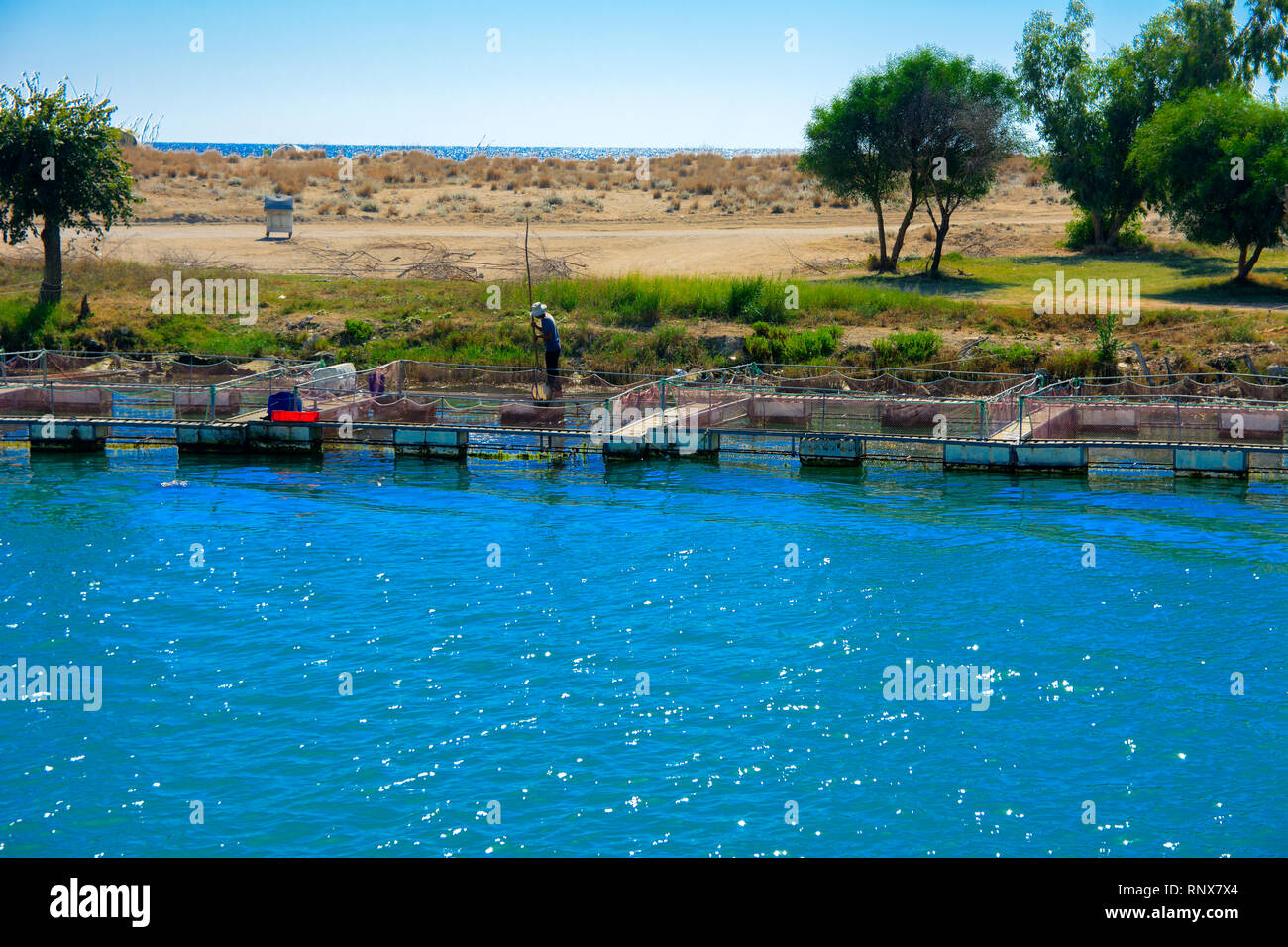 Artificial breeding of fish. Tanks from the net in the open air farm ...