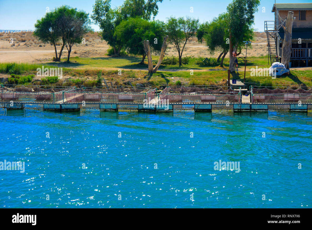 Artificial breeding of fish. Tanks from the net in the open air farm ...