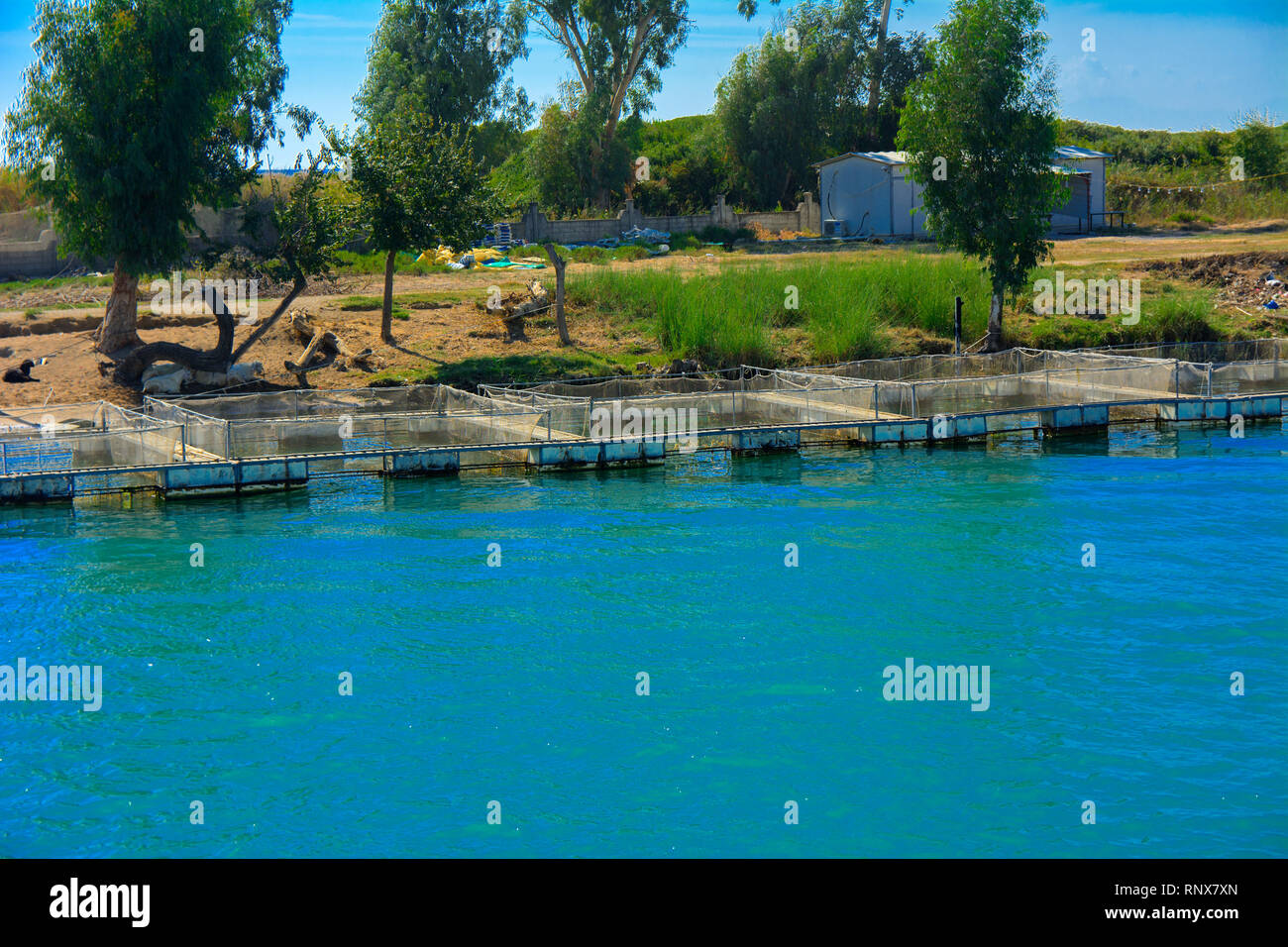 Artificial breeding of fish. Tanks from the net in the open air farm ...