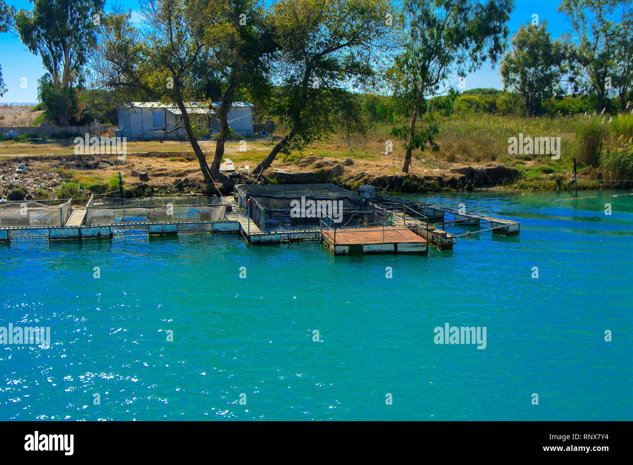 Artificial breeding of fish. Tanks from the net in the open air farm ...