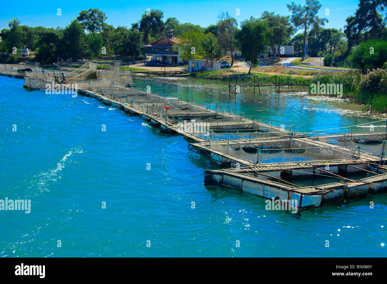 Salmon breeding tanks hi-res stock photography and images - Alamy