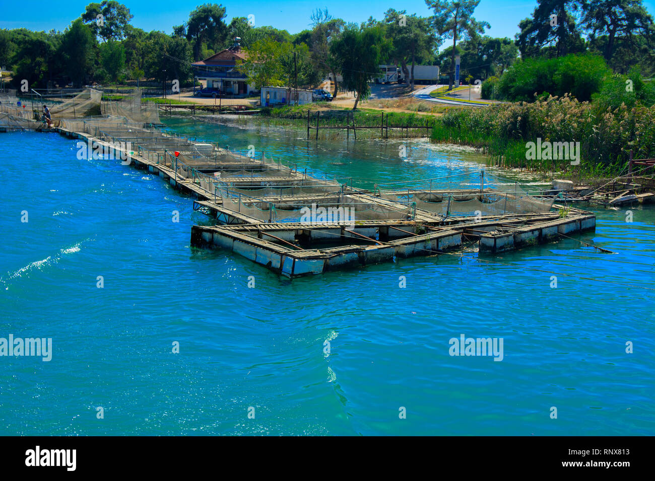 Artificial breeding of fish. Tanks from the net in the open air farm ...