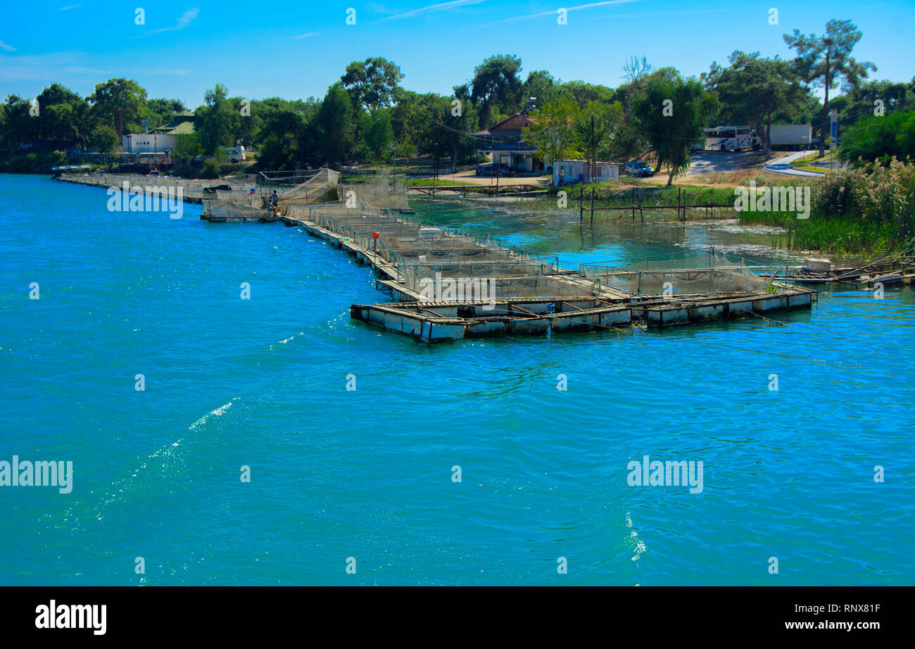 Artificial breeding of fish. Tanks from the net in the open air farm ...
