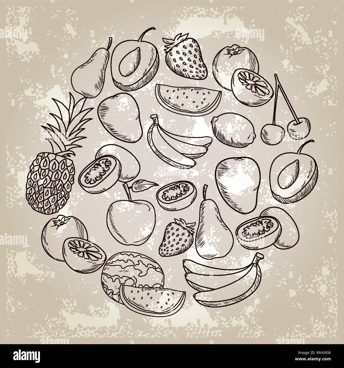 hand drawn fruits Stock Vector Image & Art - Alamy