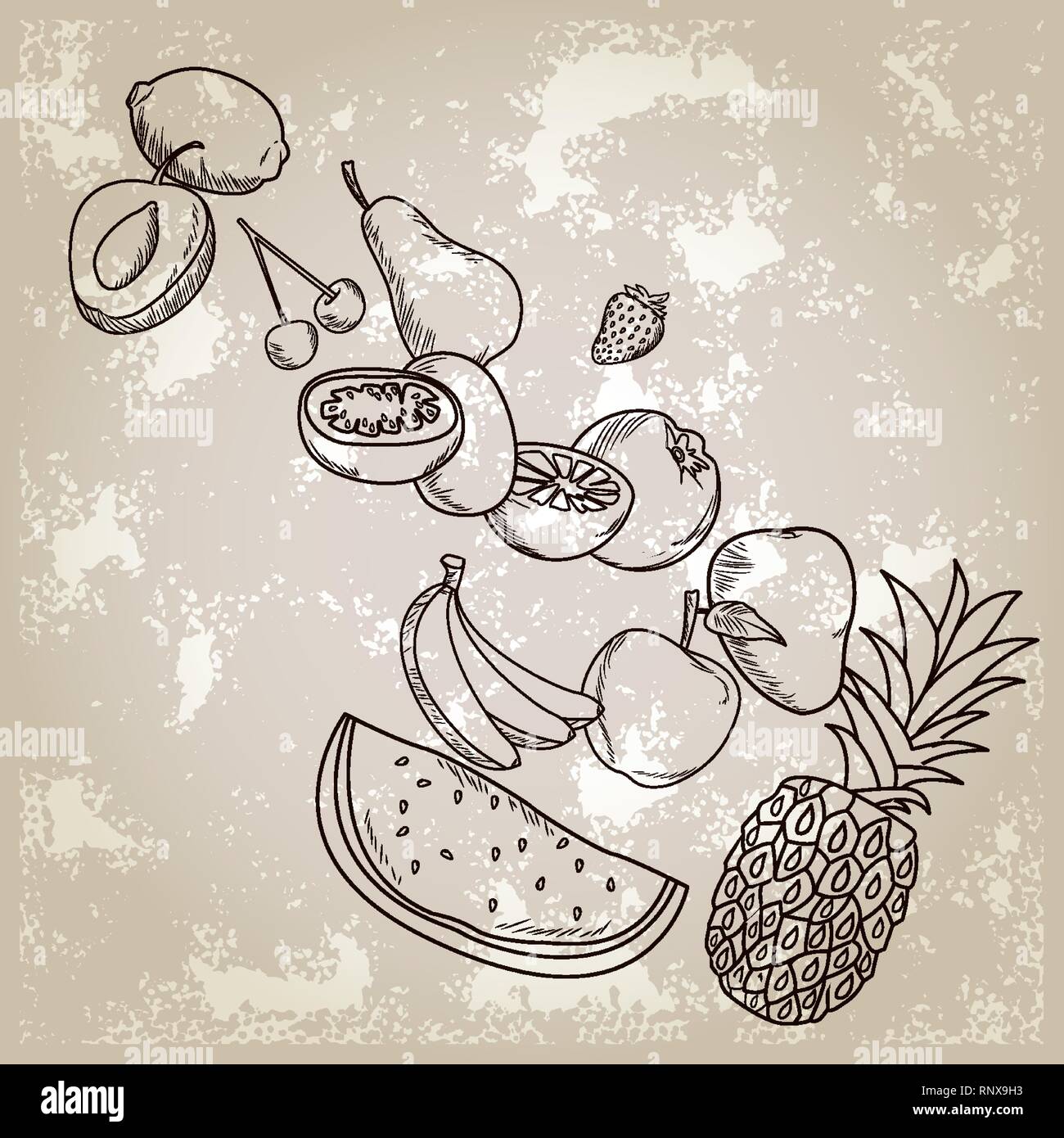 hand drawn fruits Stock Vector Image & Art - Alamy