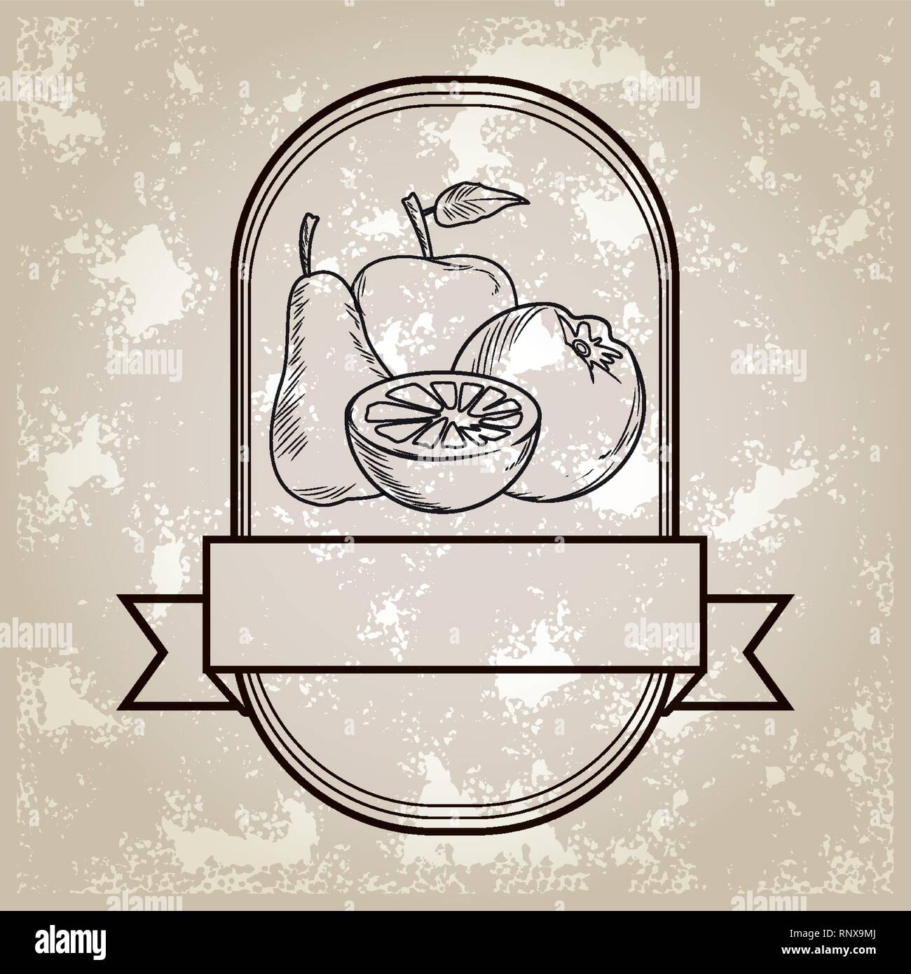 hand drawn fruits Stock Vector Image & Art - Alamy