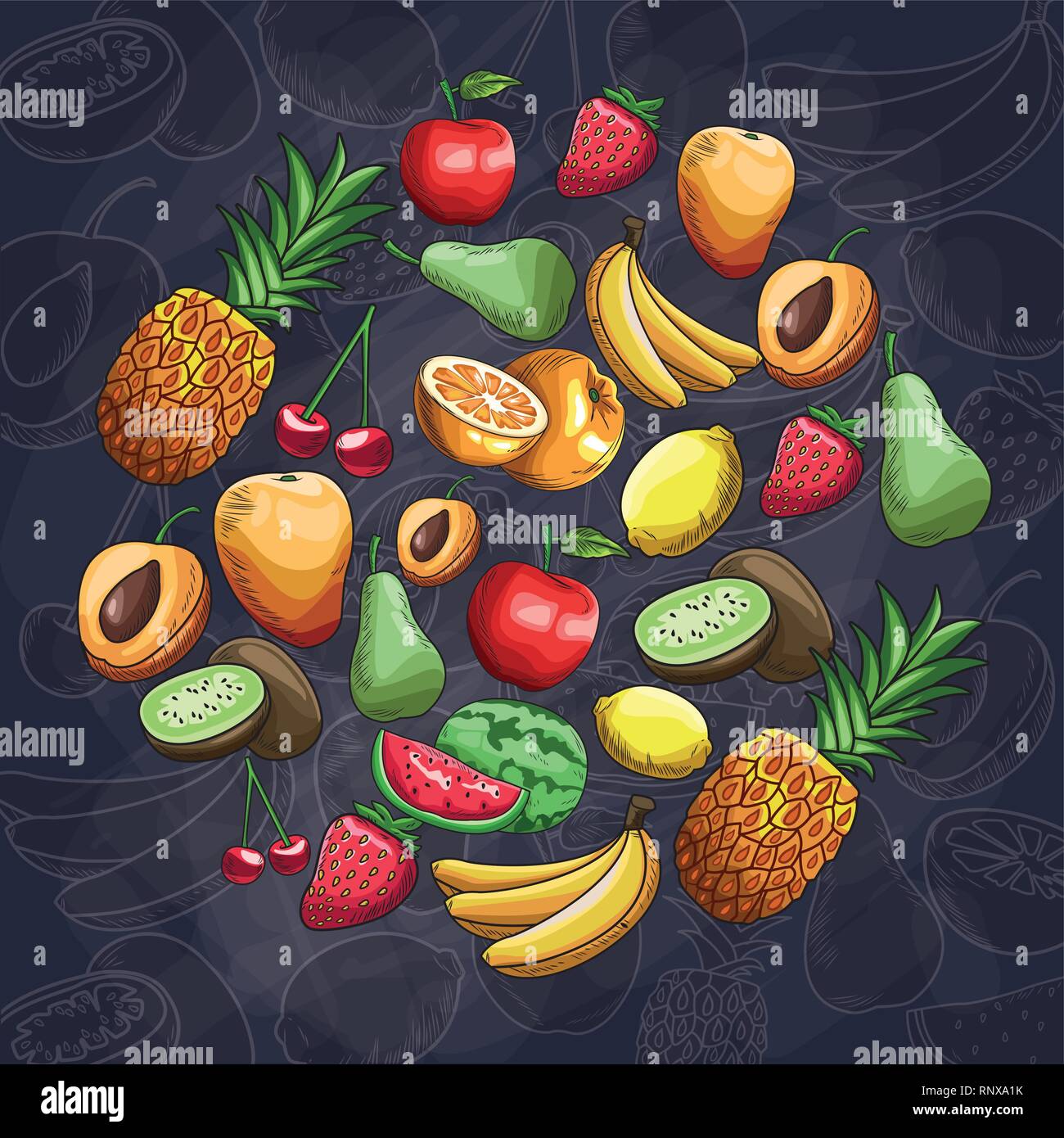 hand drawn fruits Stock Vector Image & Art - Alamy