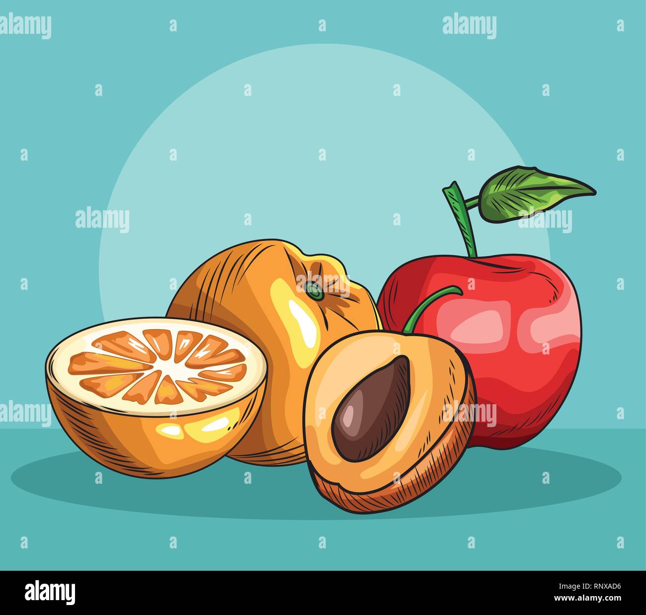 hand drawn fruits Stock Vector Image & Art - Alamy