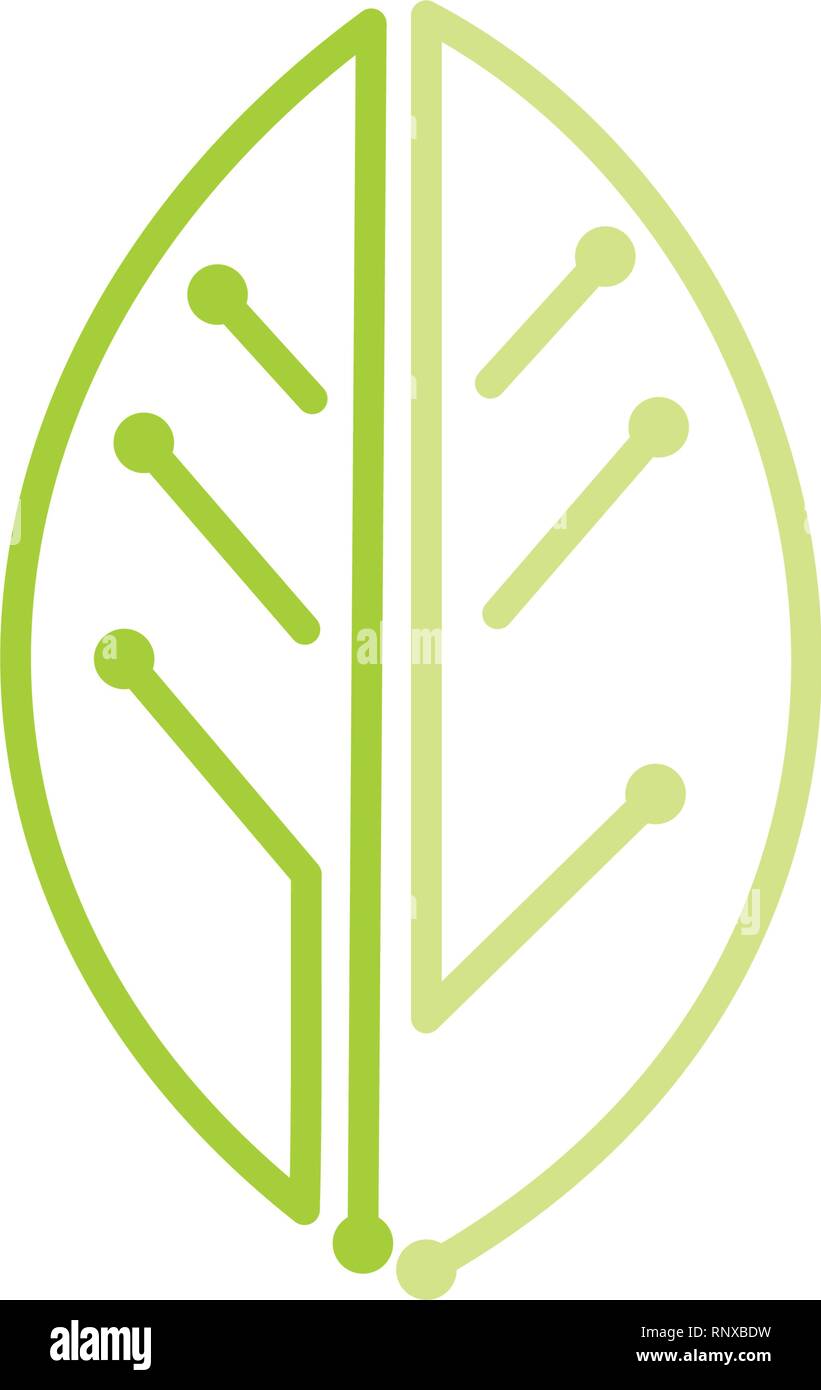 Leaf Logo Design Vector Template Isolated Stock Vector Image & Art - Alamy