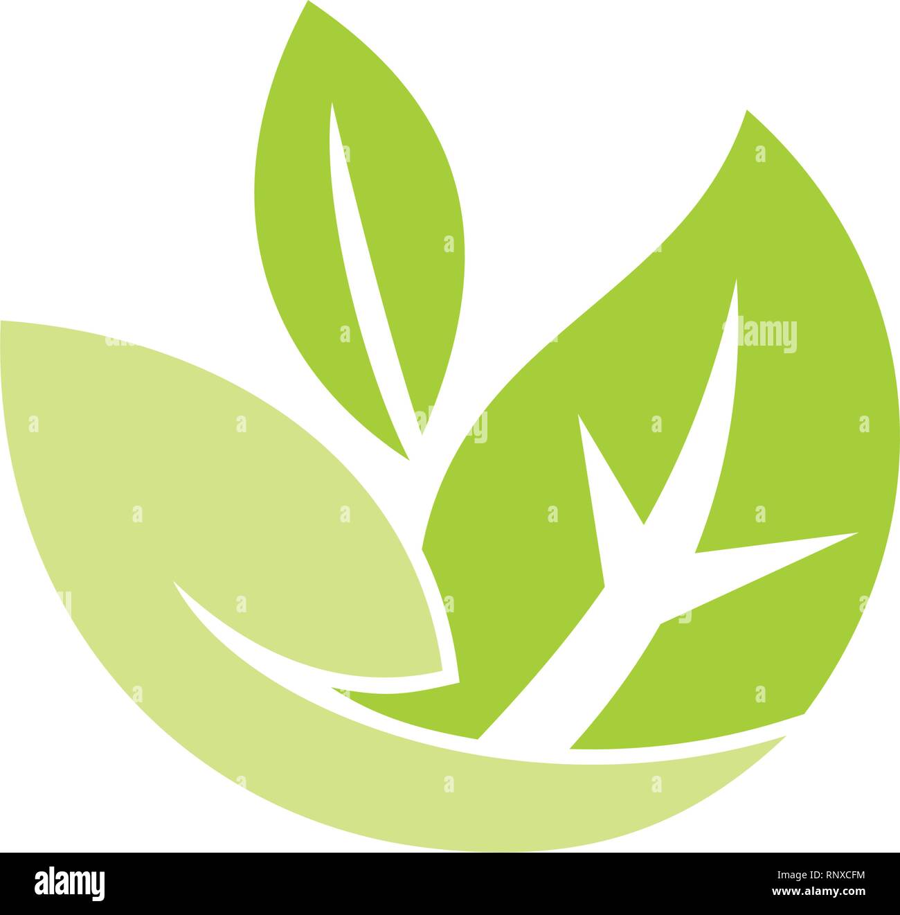 Leaf Logo Design Vector Template Isolated Stock Vector Image & Art - Alamy