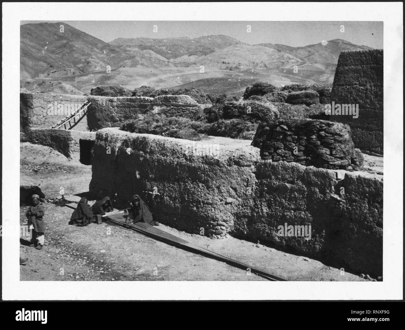 Shibar hi-res stock photography and images - Alamy