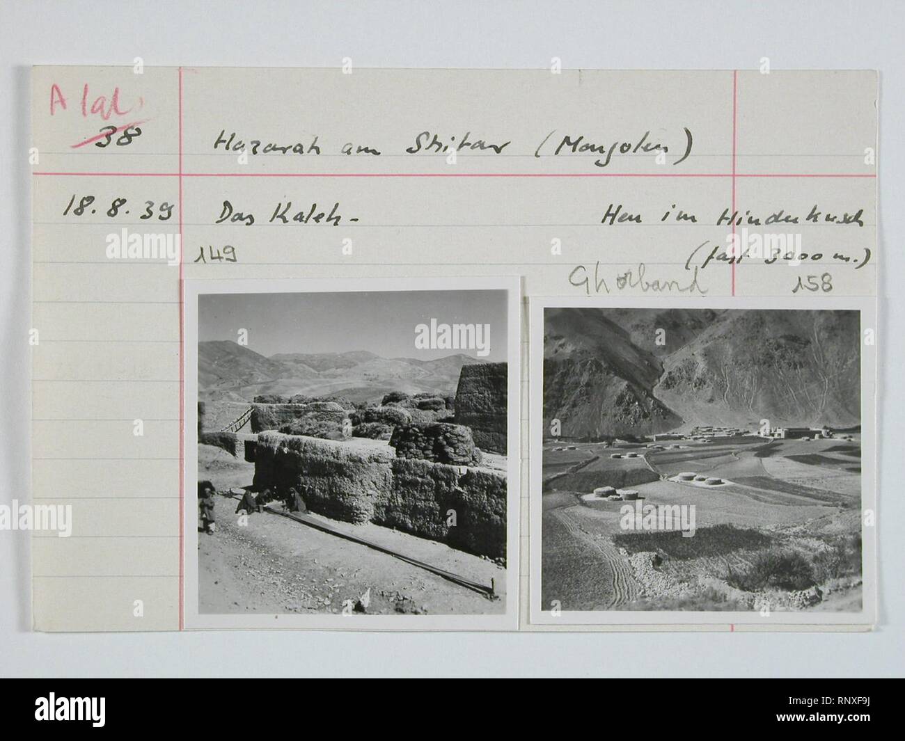 Shibar hi-res stock photography and images - Alamy