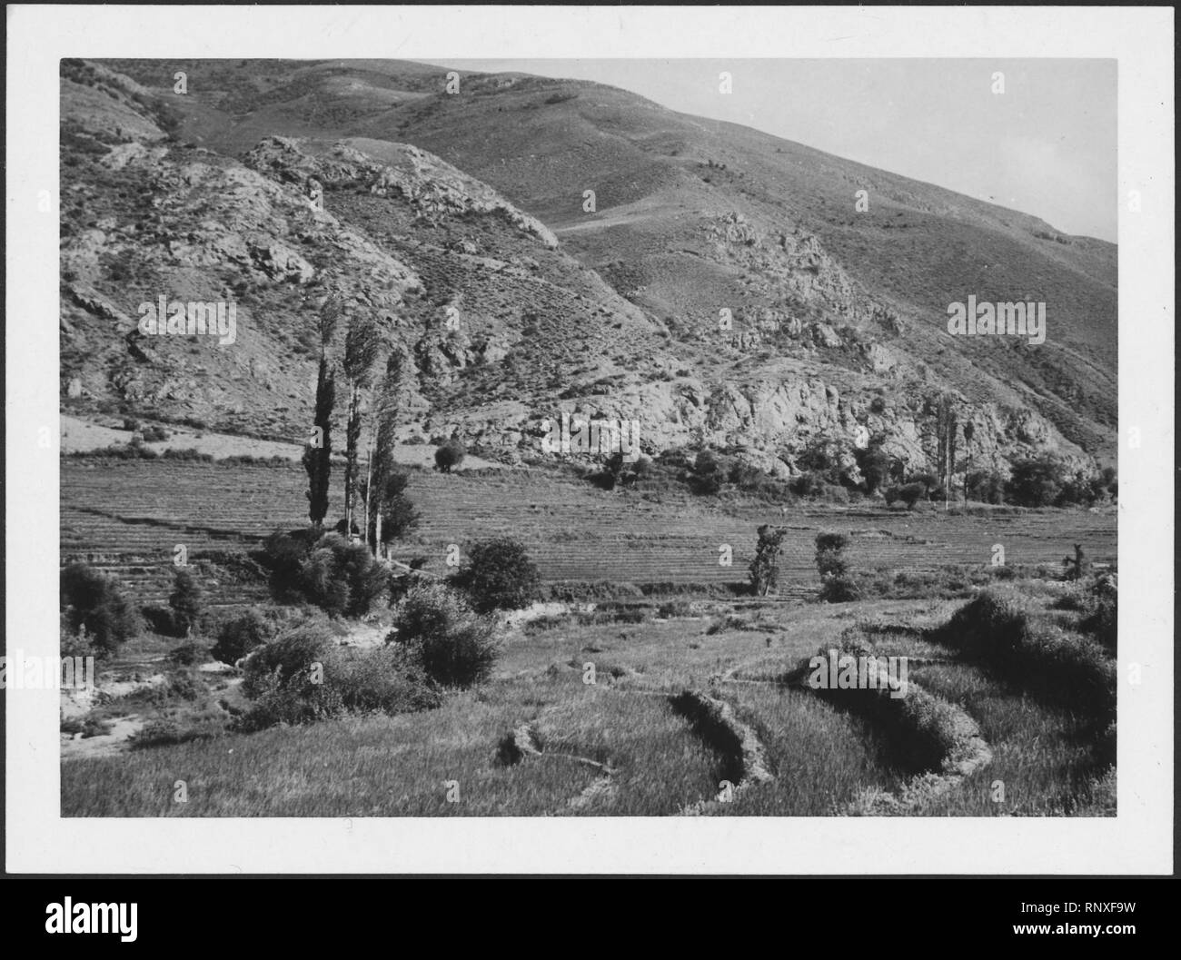 Shibar hi-res stock photography and images - Alamy