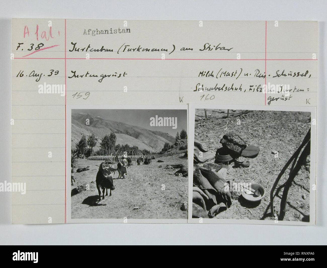 Shibar hi-res stock photography and images - Alamy