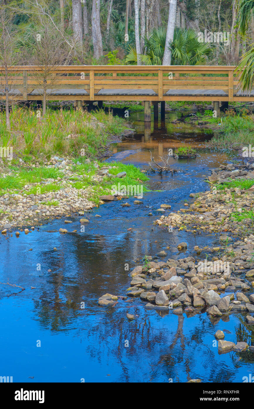 Stream flowing under walkway in Nocatee, St Johns County, Florida Stock ...