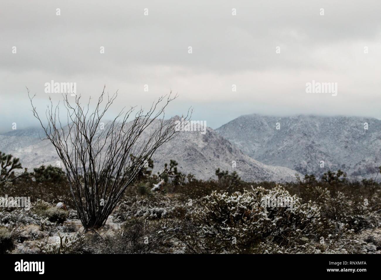 Snowy desert terrain hi-res stock photography and images - Alamy