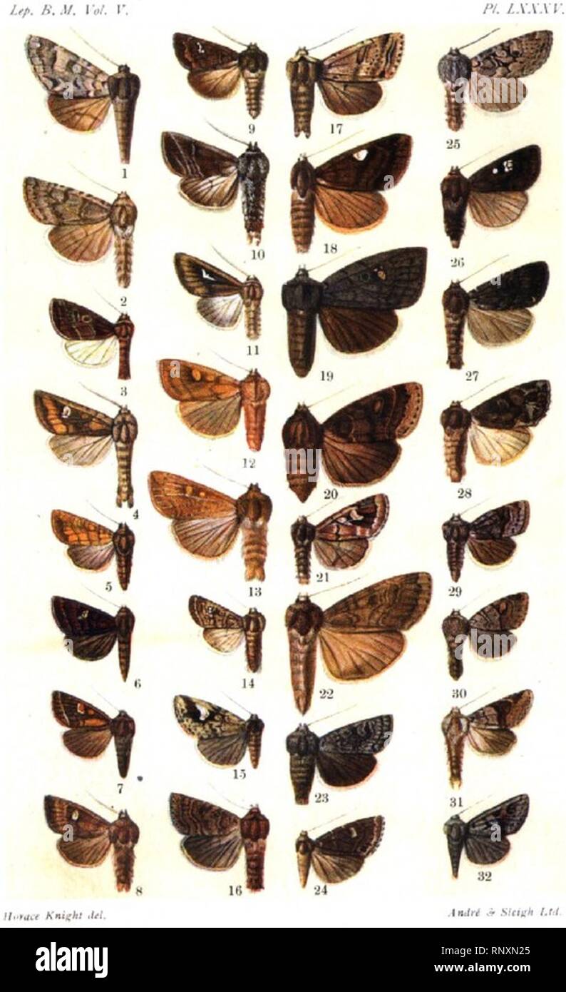 Bm plate hi-res stock photography and images - Alamy