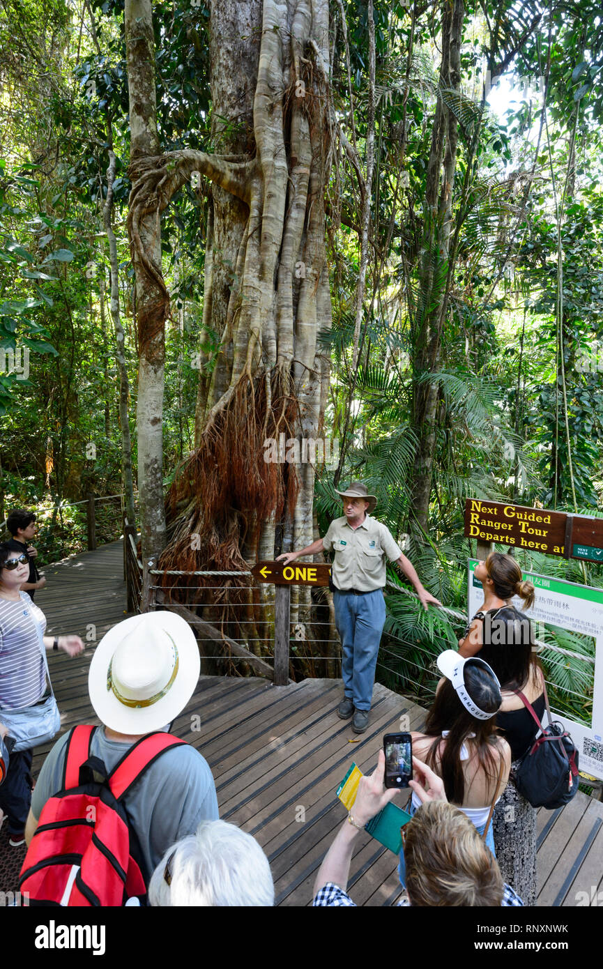 A Park Ranger is showing trees to Chinese tourists in the World ...