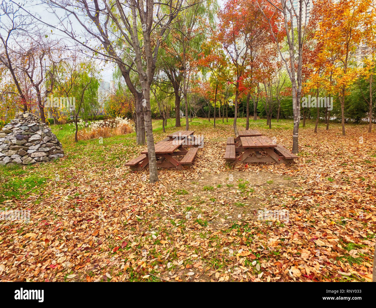 Autumn of Suyeong River , Busan, South Korea Asia Stock Photo - Alamy